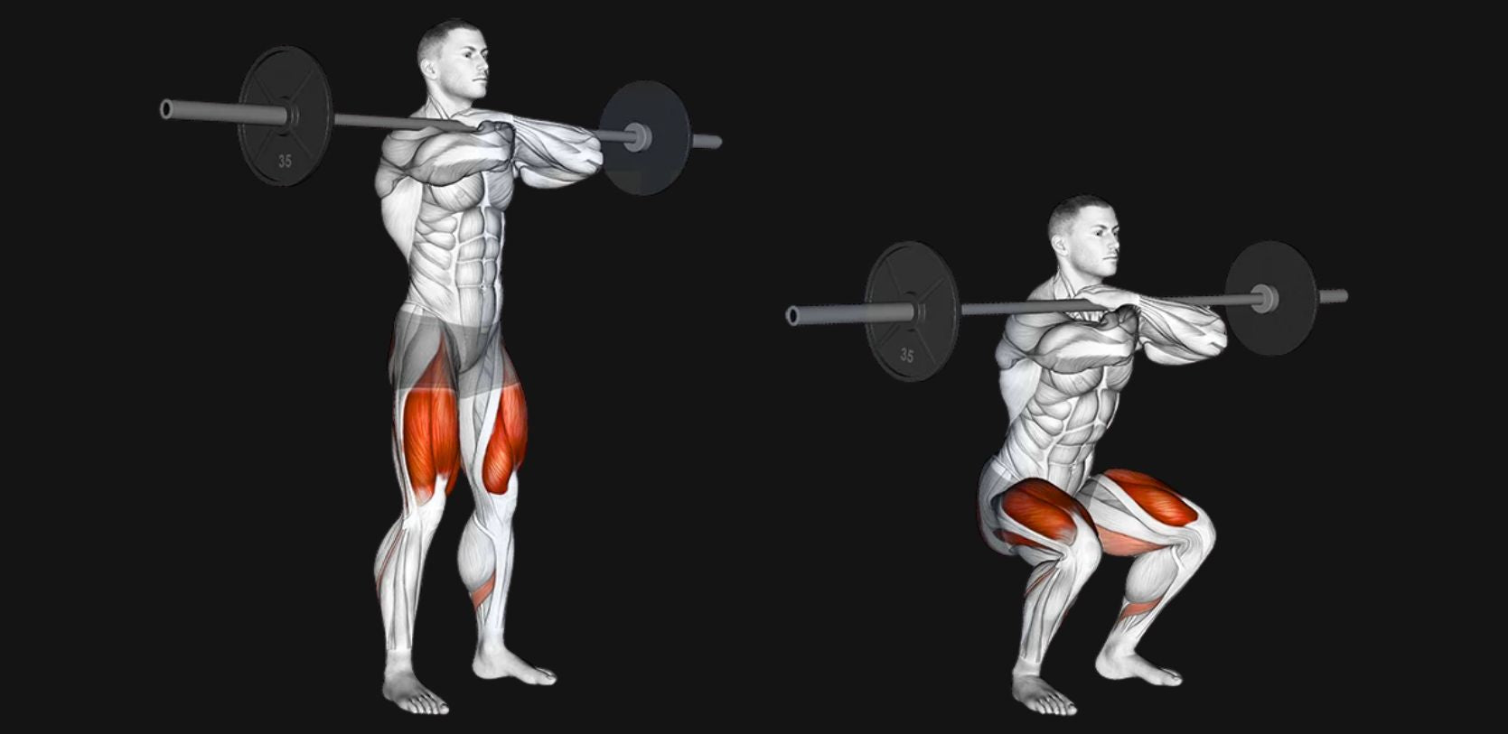 front barbell squat