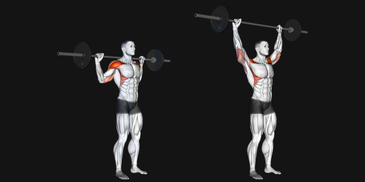 Behind the Neck Press: Delt Strength, Overhead Power & Shoulder Mobili ...