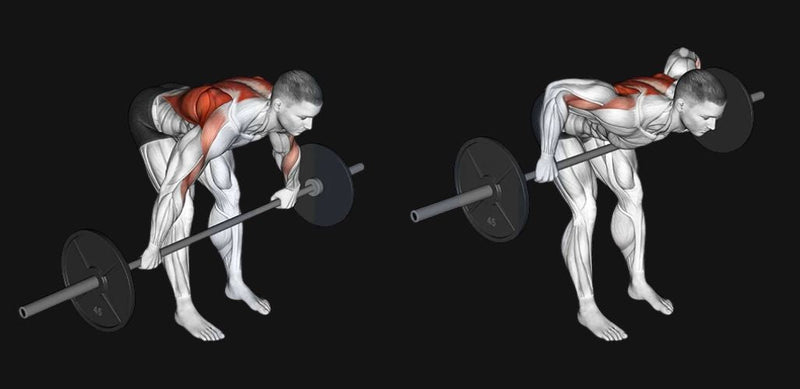 bent over row correct form