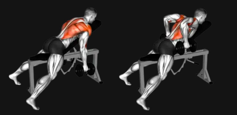 lying down dumbbell row