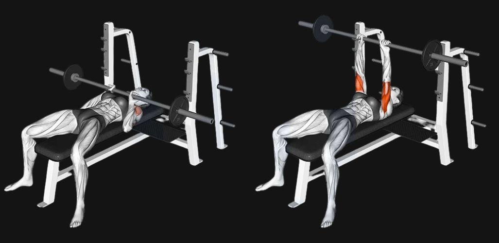 Close-Grip Bench Press: Build Bigger Triceps & Stronger Pressing Power ...