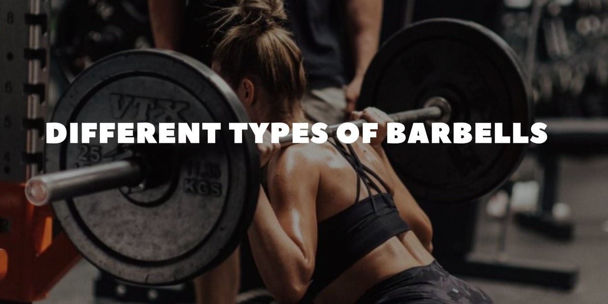 Different Types of Barbells: The Complete Guide for Every Lift ...