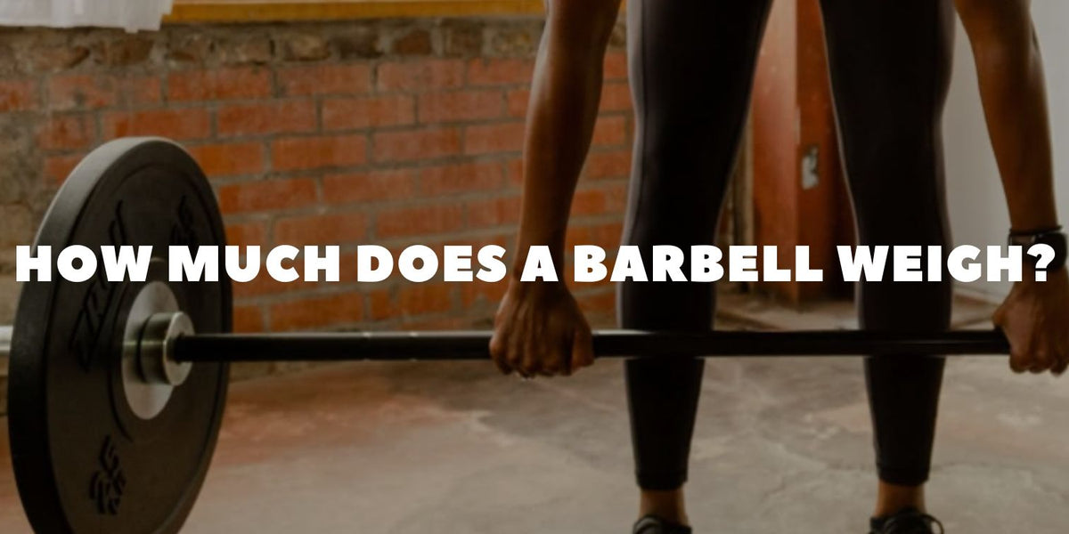 How Much Does a Barbell Weigh? Bar Weights Explained for Every Gym Set ...