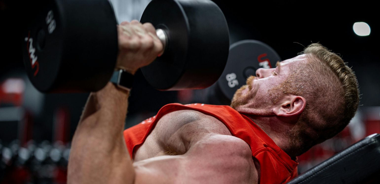 bench press exercise dumbbell