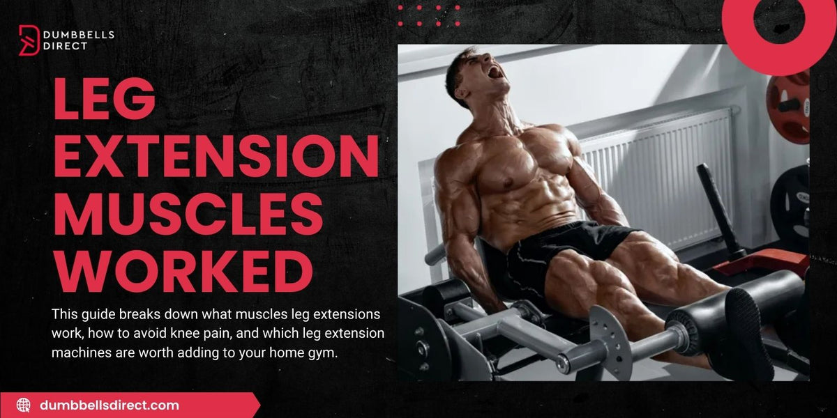 Leg Extension Muscles Worked: Benefits, Risks, and Best Machines ...