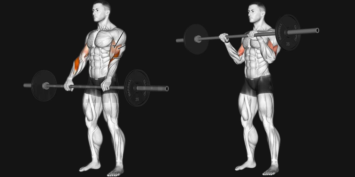 reverse curls barbell