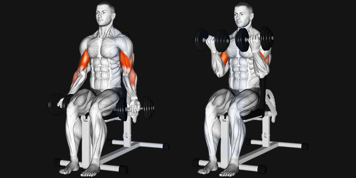 curl and press exercise