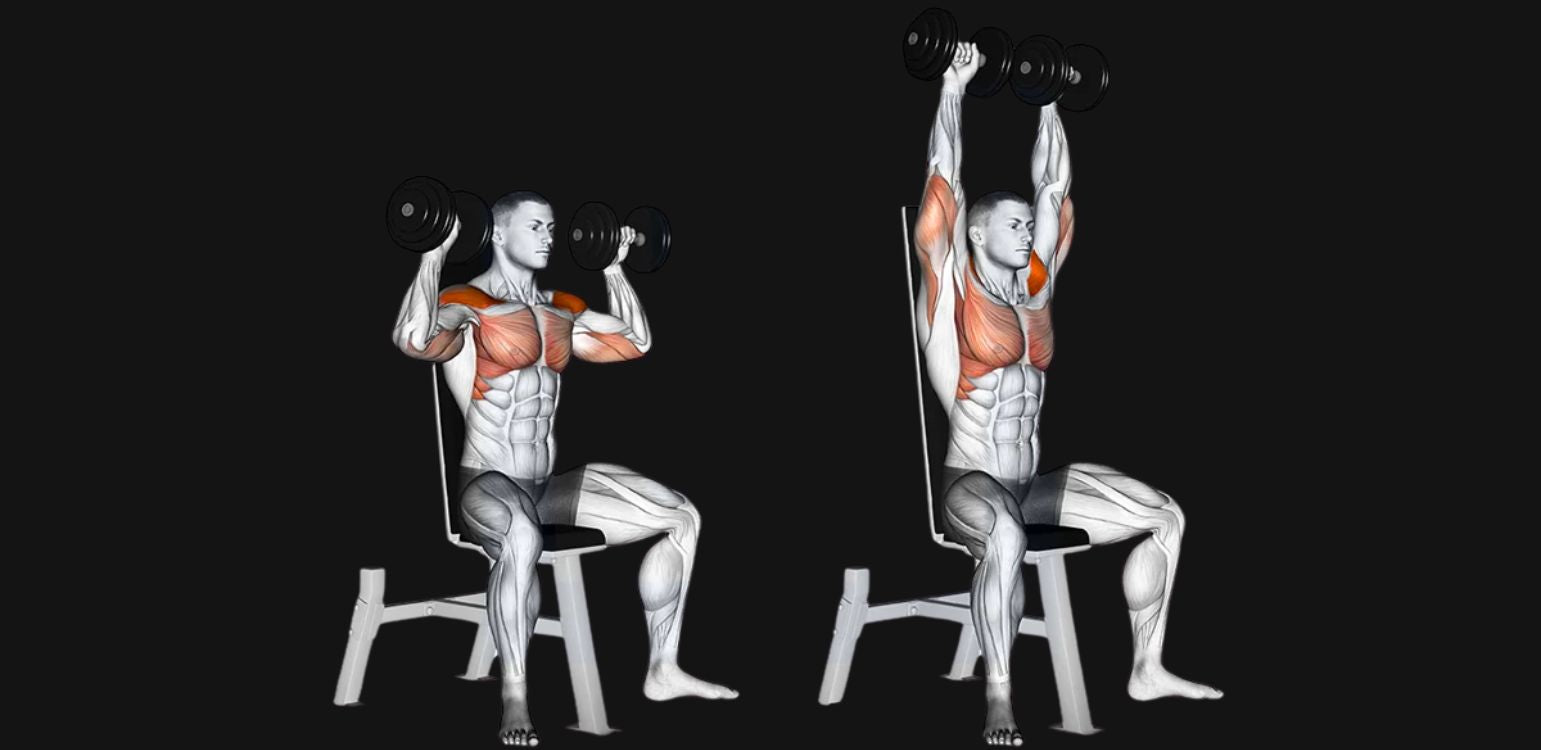shoulder press exercise dumbbell