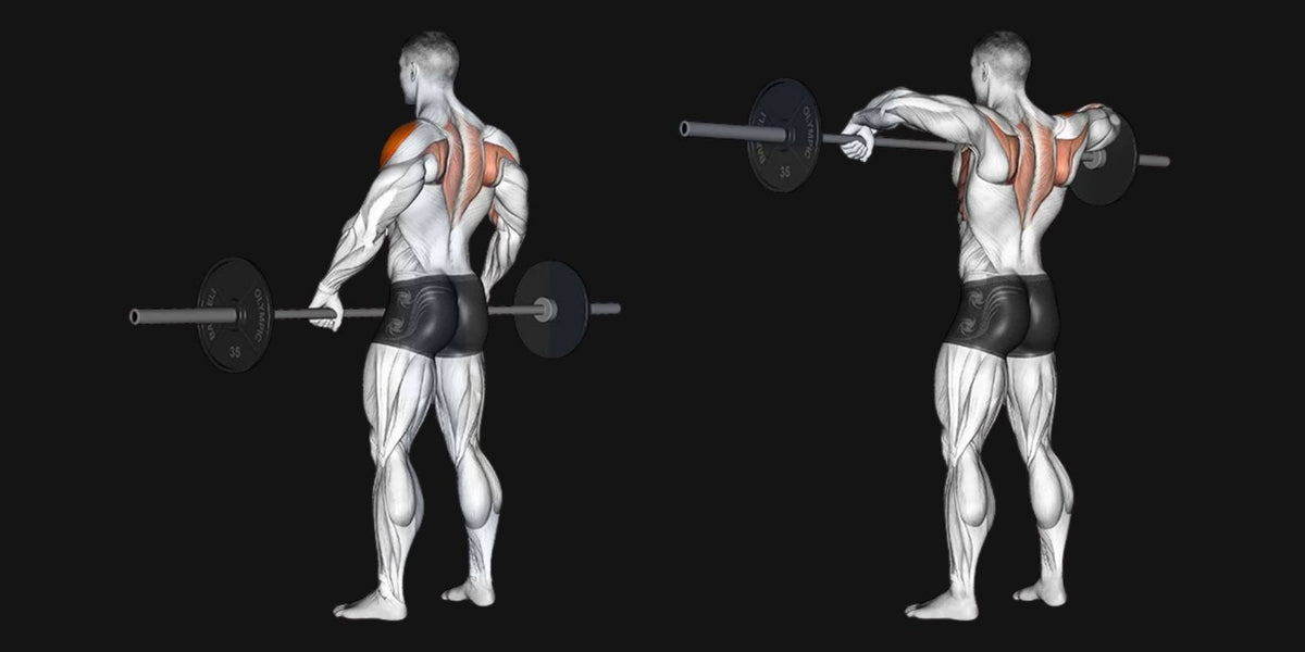 barbell row compound exercise