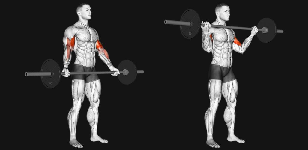Wide Grip Barbell Curl: Build Thicker Biceps & Target the Inner Bicep ...